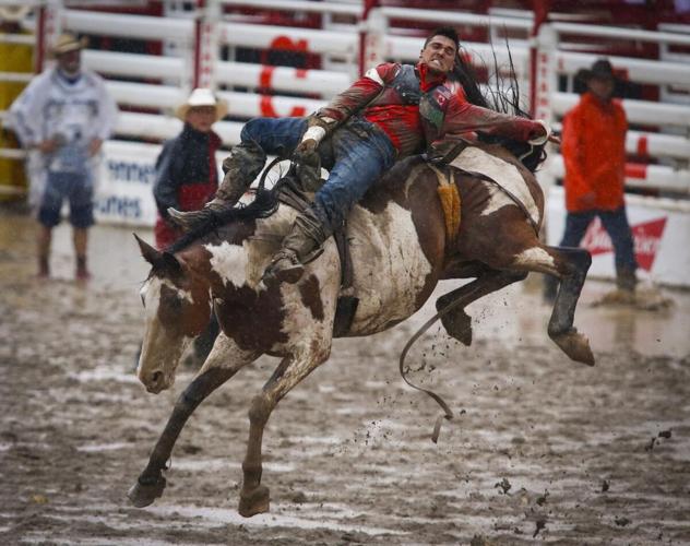 Watch rodeo like a pro: A cheat sheet for 5 of the Calgary Stampede’s ...
