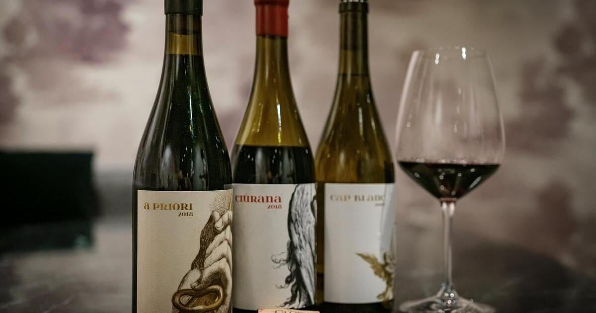 Toronto man gave up everything to chase his wine dream in Spain