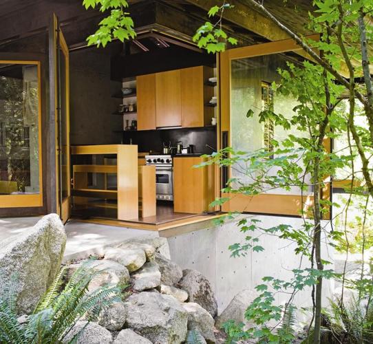 Secluded cabin in the woods near Seattle grows into the forest
