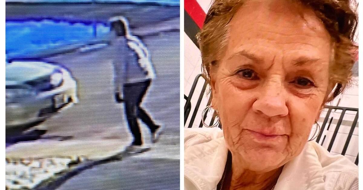 Family, friends join police in search for Shirley Love