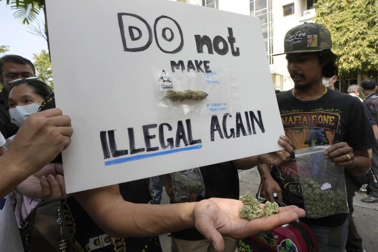 Thai marijuana boosters rally to keep drug decriminalized