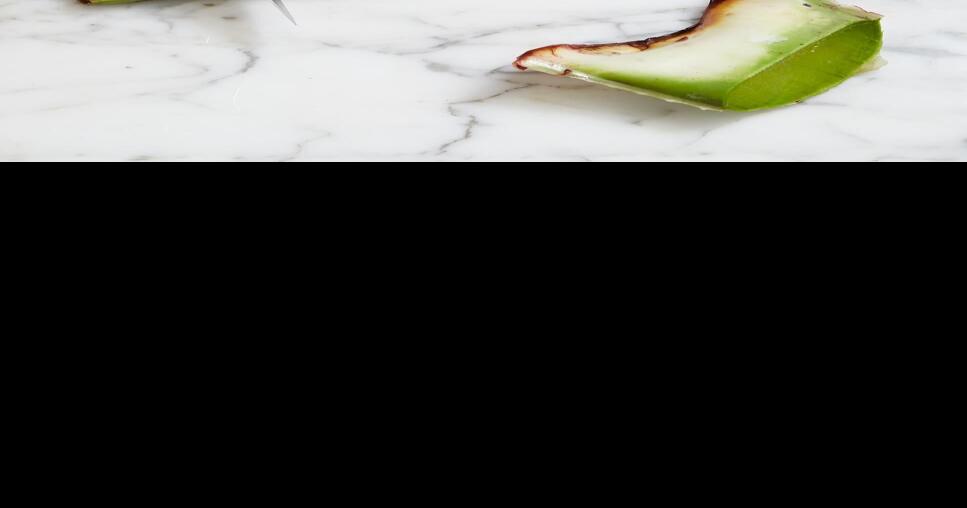 Curious about using aloe vera in cooking? Here’s how to butcher and ...