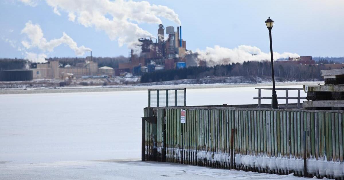 Northern Pulp mill formally registers controversial effluent treatment ...