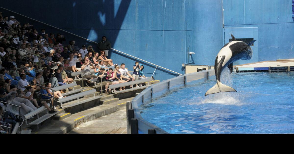SeaWorld owner to offer shares to public