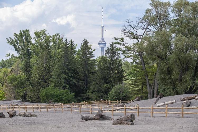 Advocates fear LGBTQ community will be pushed out by changes at Hanlan ...