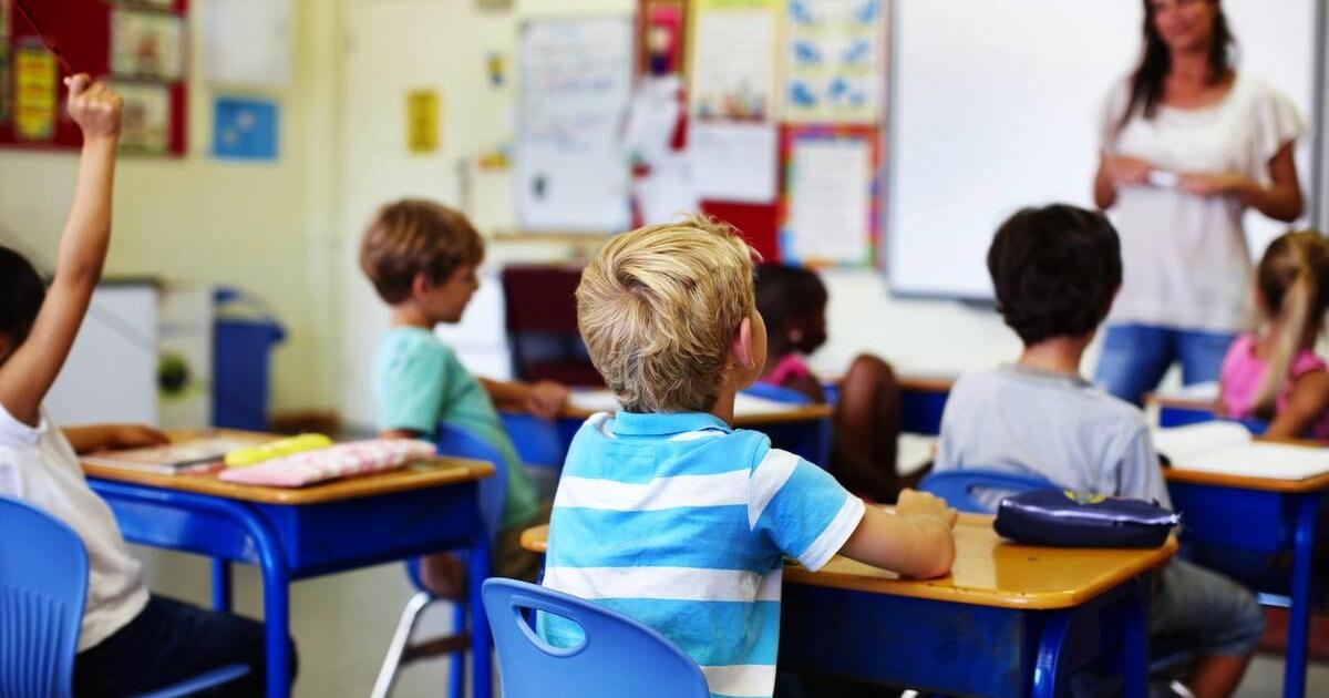 TDSB student census reveals higher stress levels, greater sense of ...