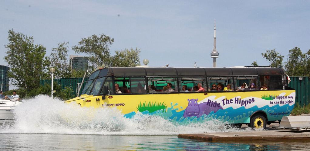 Hippo Tours stalled in Toronto
