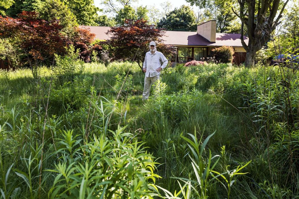 A fight against Mississauga’s lawn laws could mean much more