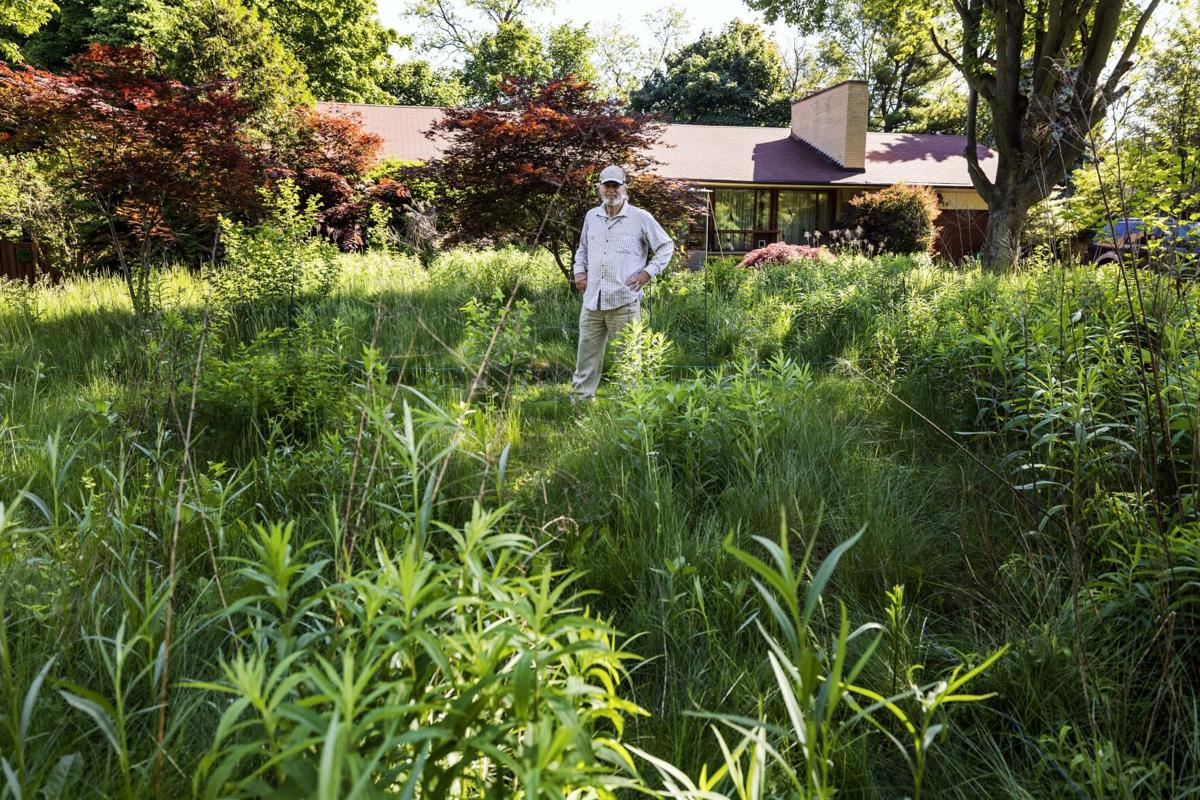 A fight against Mississauga’s lawn laws could mean much more