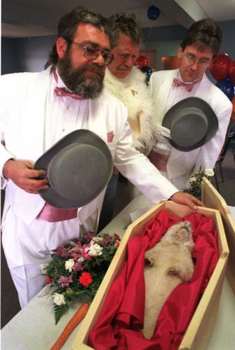 The legend of Wiarton Willie lives on