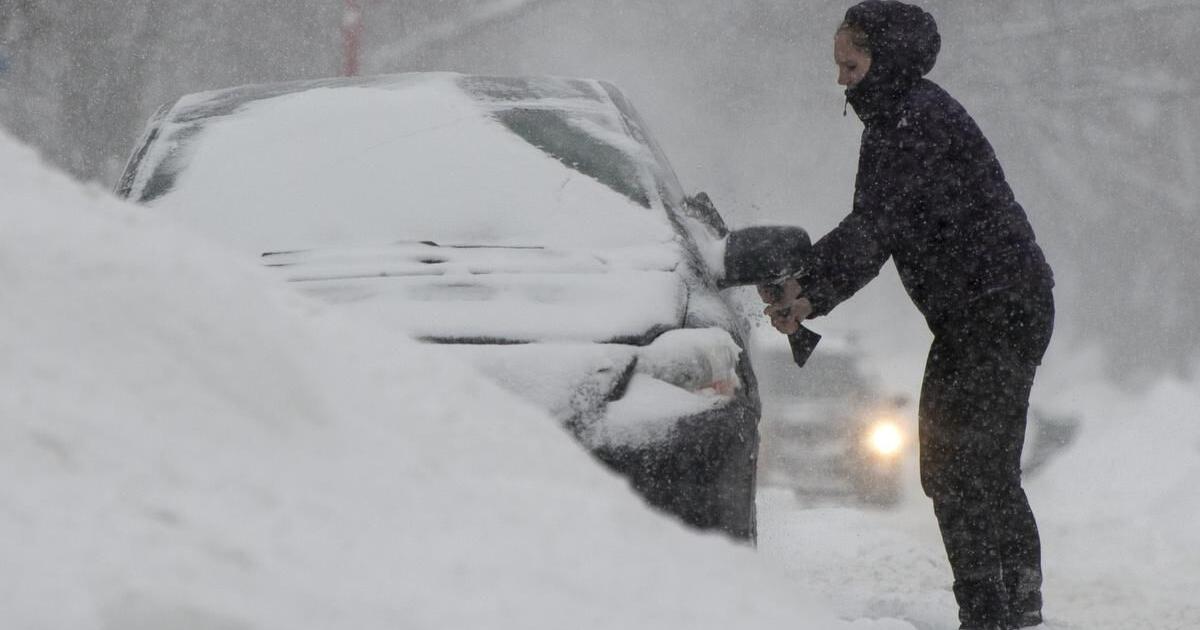 OPP say viral video highlights need to clear snow from vehicles