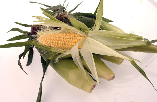 Coconut curry, chicken & corn chowder