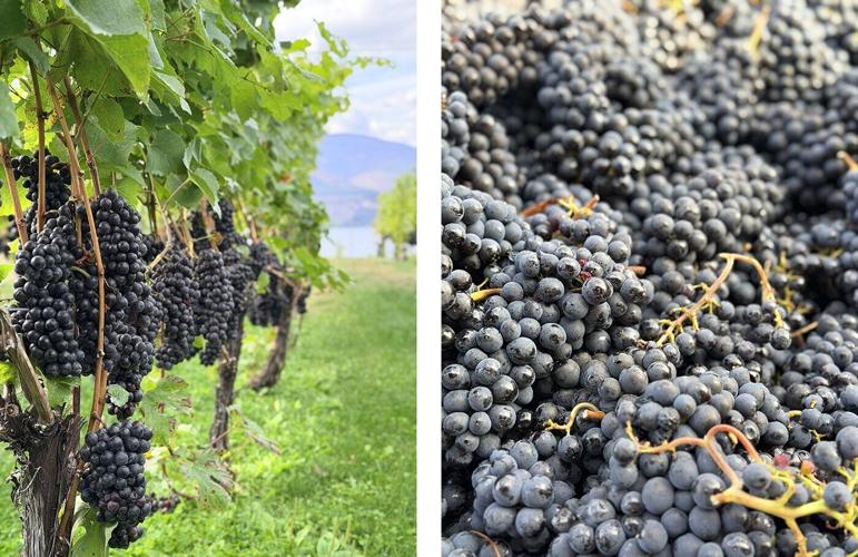 Visit B.C. for Canada’s first UNESCO ‘City of Gastronomy’