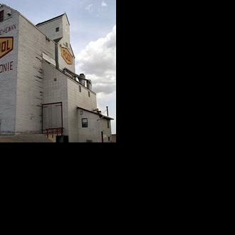 Wheat kings reign in time of need