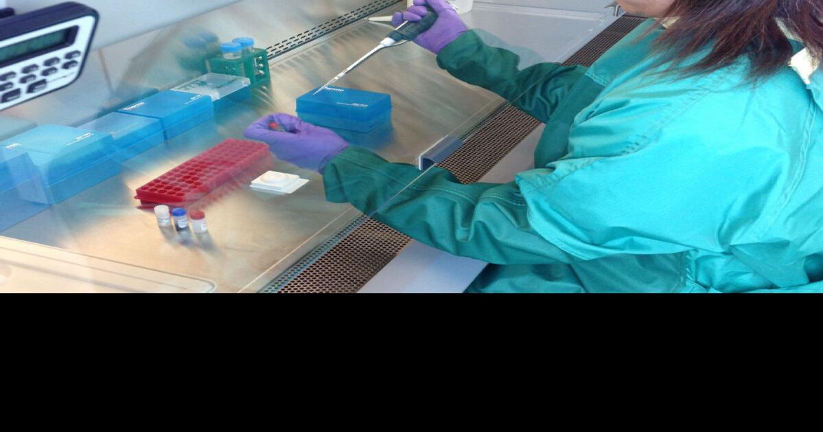 Canada to start shipping experimental Ebola vaccine on Monday