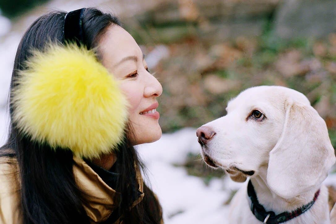 TV sensation Lainey Lui’s dogs, Barney and Elvis, may the best-loved ...