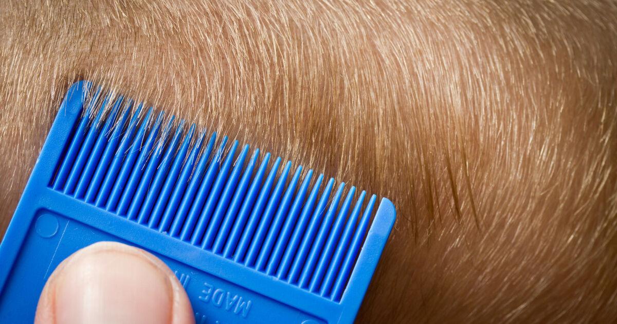 Preventing lice: Moms know best