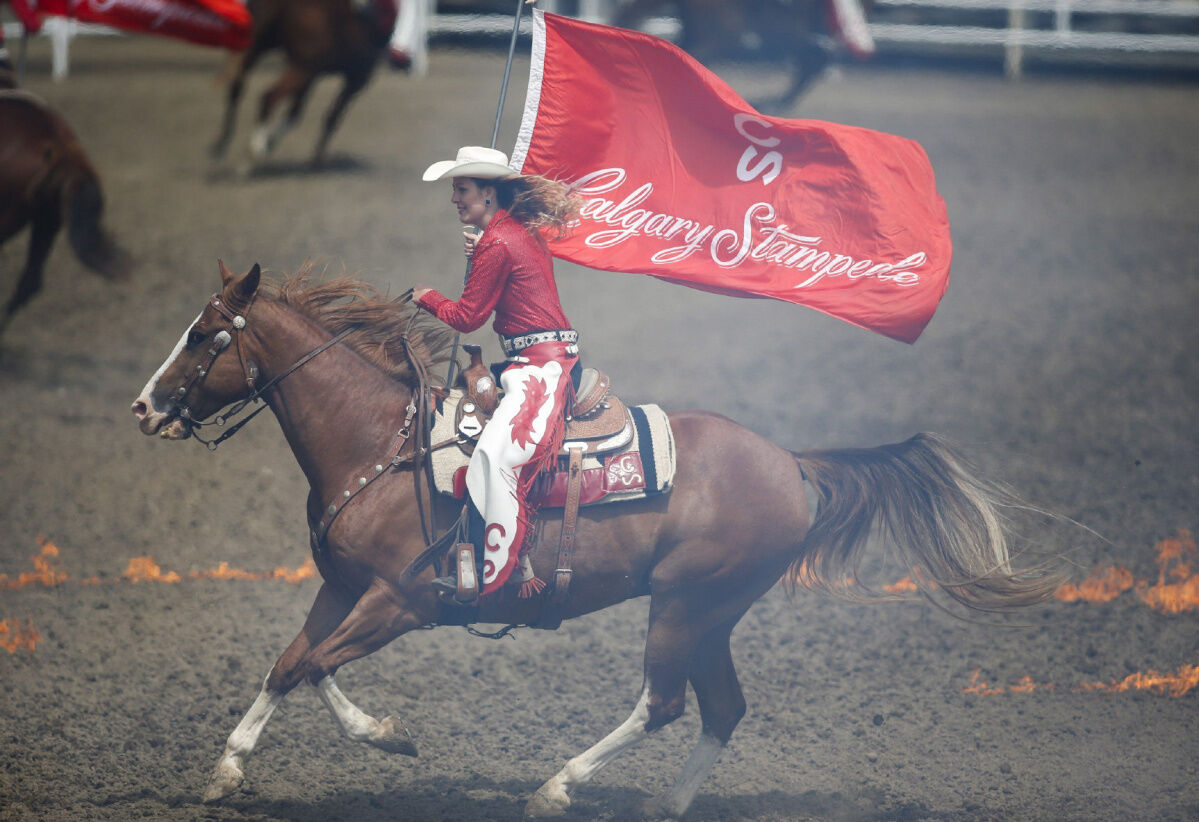 Calgary Stampede to review safety after fourth horse dies