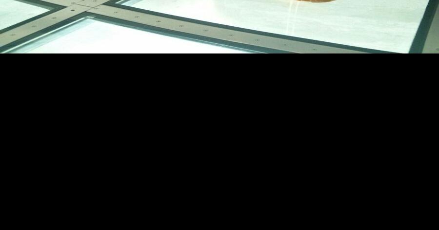 What happens when playing hooky is the parent's idea