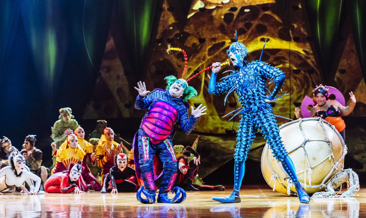 Bringing the cheerful and bustling world of insects to life through jaw ...