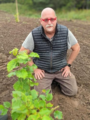 Would-be Ontario truffle farmers and locavore foodies watch and wait ...