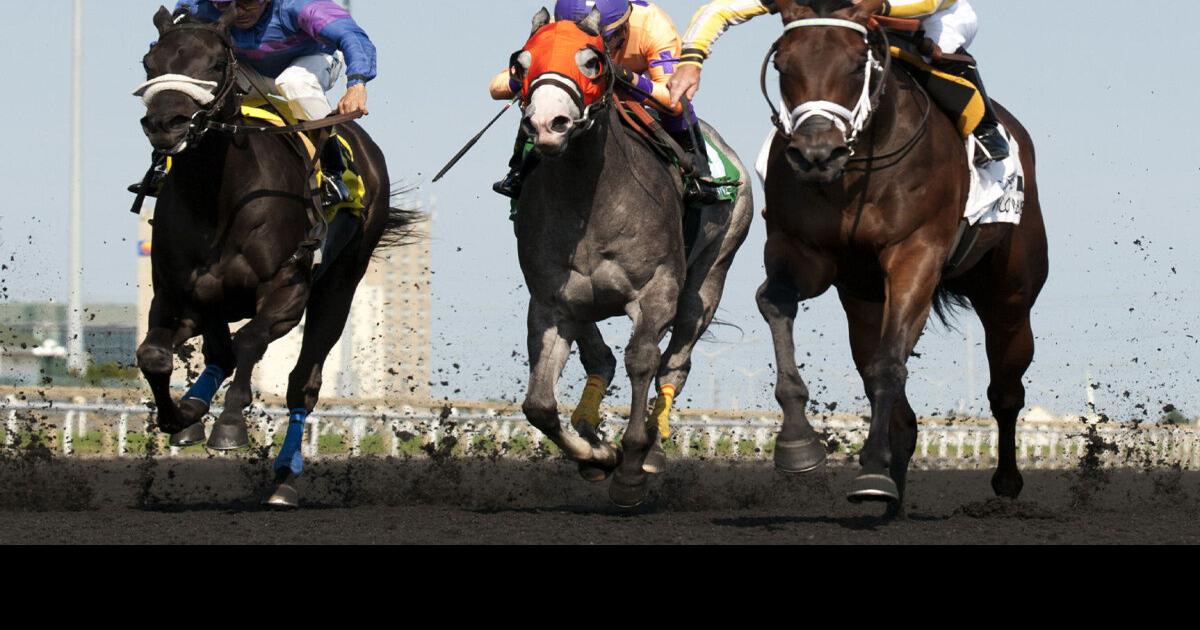 OLG to integrate Ontario’s horse racing business by end of August