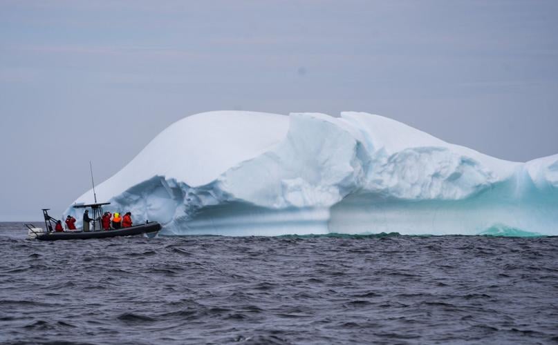 Visit Iceberg Alley, Canada’s spectacular natural attraction