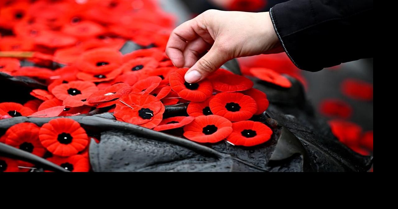 Ottawa school board investigating after Remembrance Day song choice ...