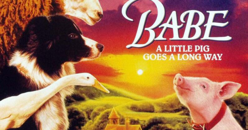 Pig saves goat from drowning. Everybody wins