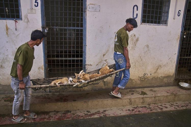 The top photos of the day by AP's photojournalists