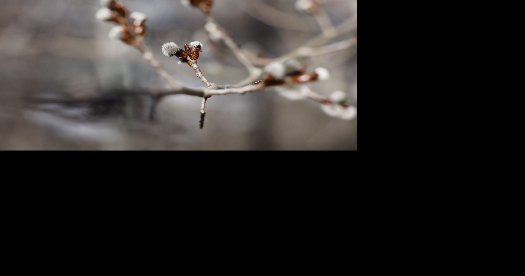 Spring weather forecast calls for cooler days in Ontario