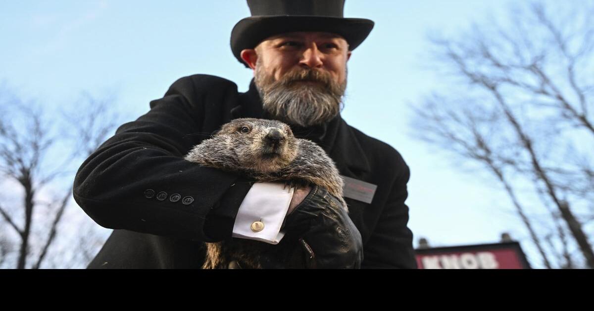 Jimmy the Groundhog and Staten Island Chuck: Other groundhogs in the U ...