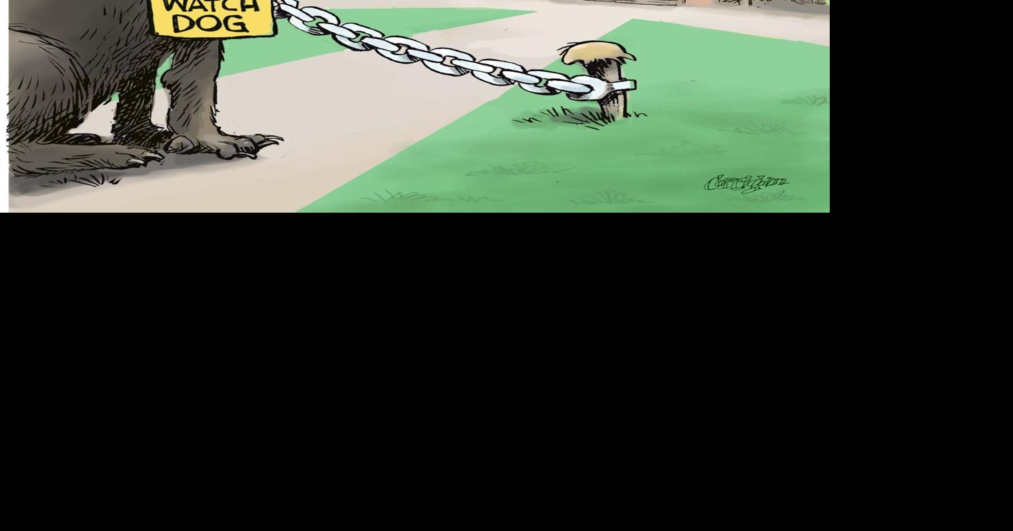 Patrick Corrigan: Financial Watchdog