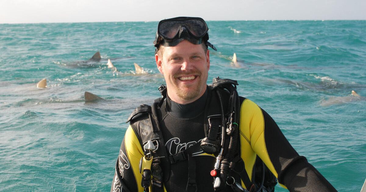Meet Andy Dehart, shark bait turned shark minder at Ripley's Aquarium ...