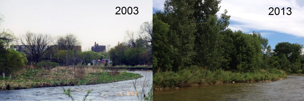 Rehab has made the Credit River a hot spot for salmon fishing