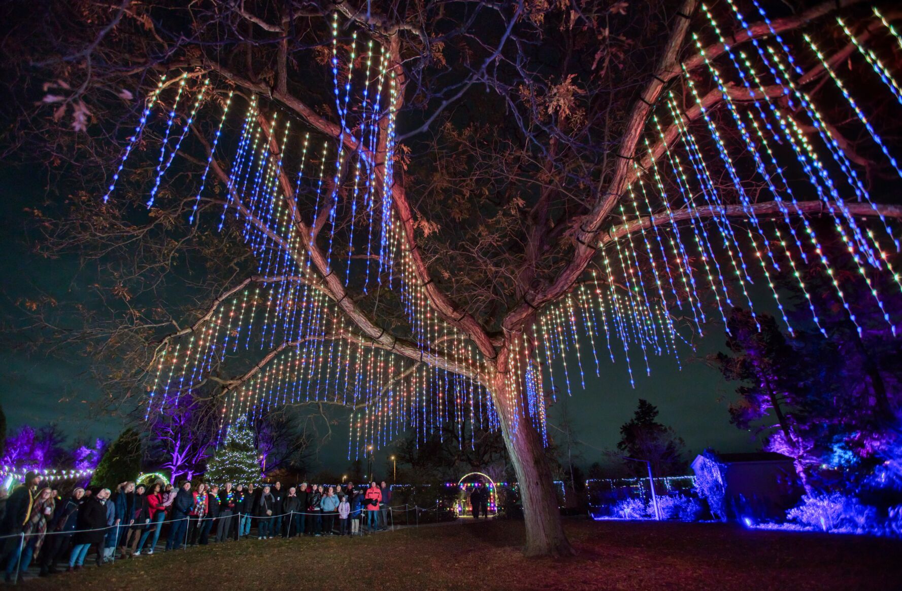 Experience the season in a whole new way with a stroll through an ...