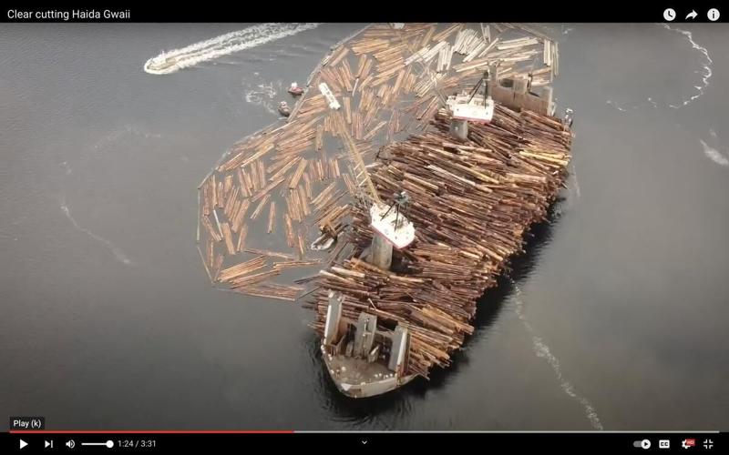 The Haida’s fight to save their centuries-old ‘trees of life’