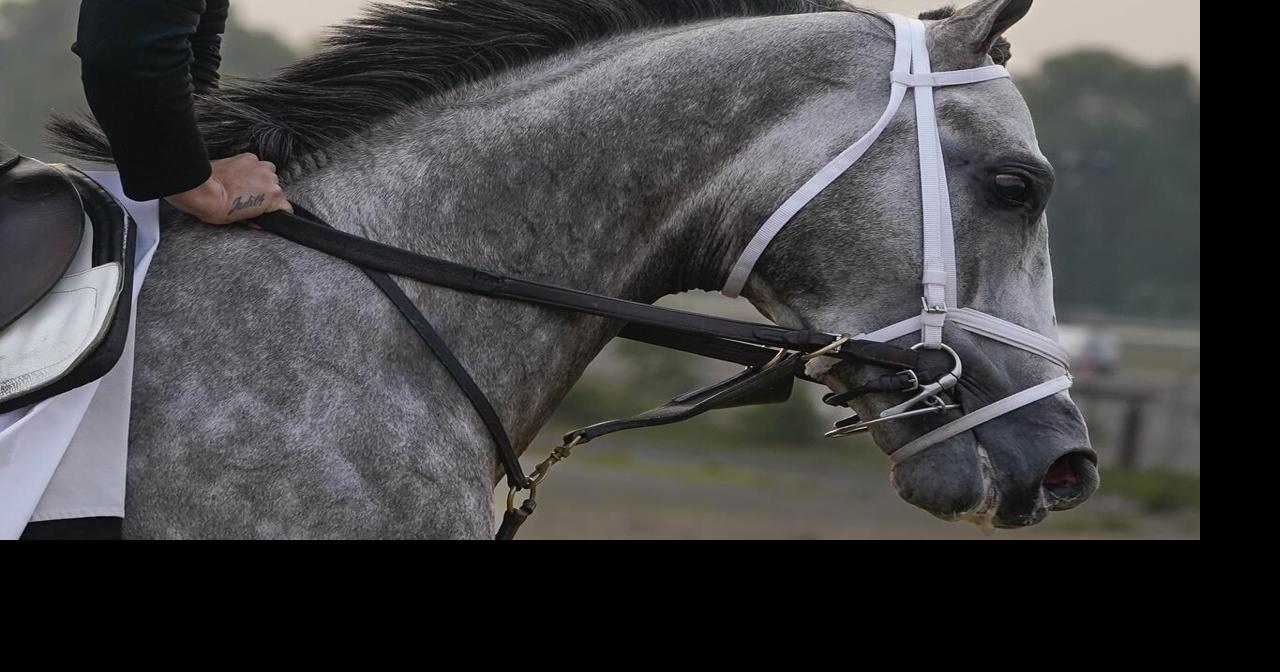 With Arcangelo, Jena Antonucci to become the 11th female trainer to have a horse in Belmont Stakes
