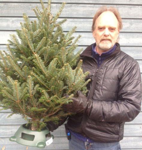 fred christmas trees