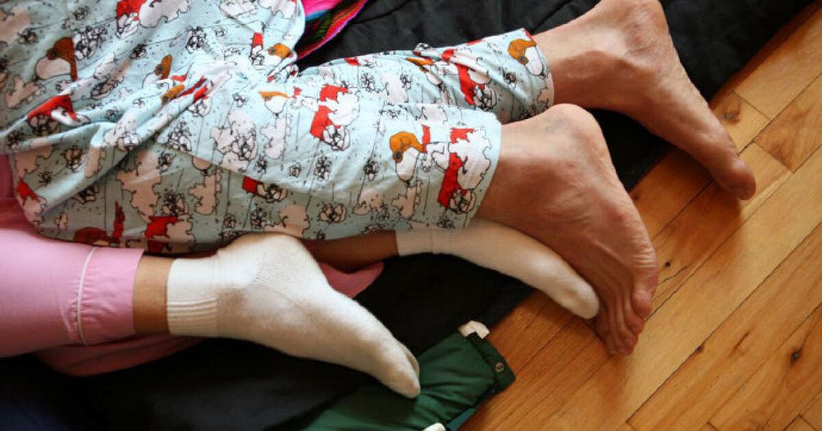 Cuddle companies coming to Toronto