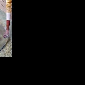 Toronto Zoo stingray exhibit causes stir