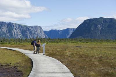 newfoundland walking