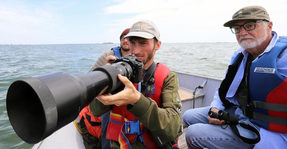 More than 1.2M birds banded at Long Point over six decades