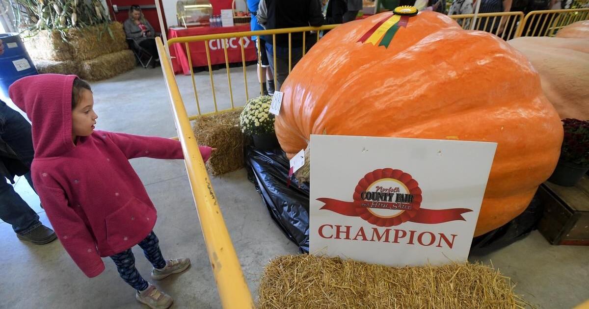 Things to do around Hamilton this Thanksgiving weekend
