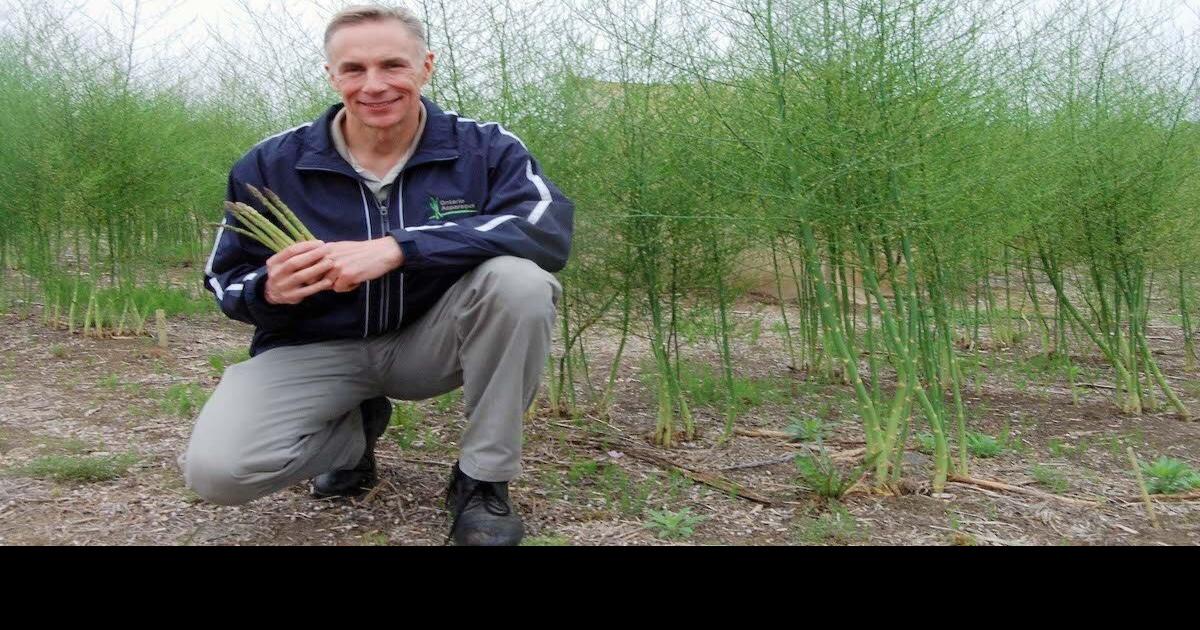 Meet Ontario’s asparagus man