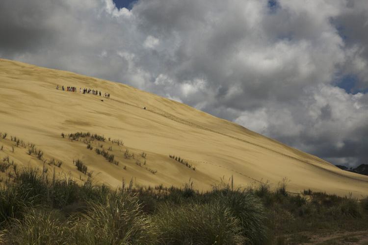 Go sandboarding in New Zealand’s Northland