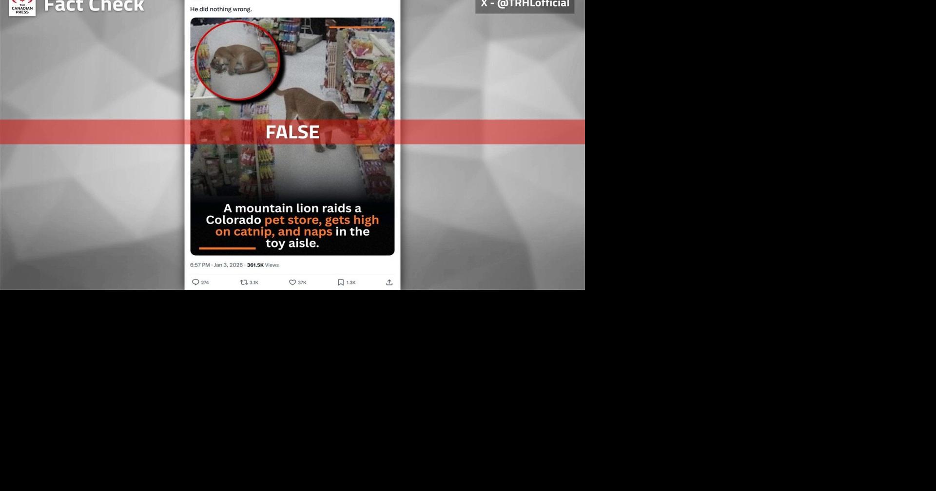 Fact File: Canadian store's security photo manipulated to show mountain ...