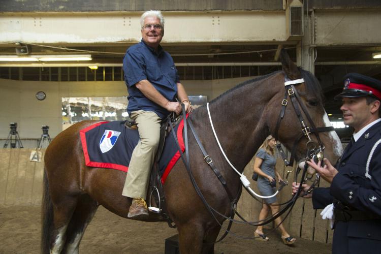 Newest Toronto police steed named for fallen Sgt. Ryan Russell