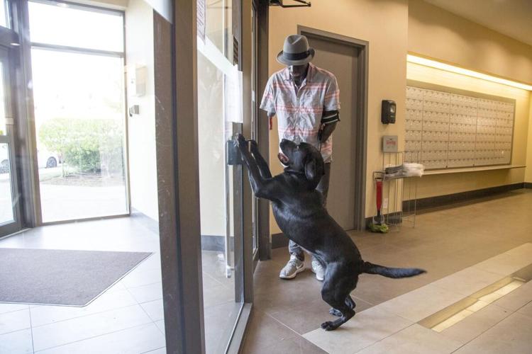 For Toronto actor Prince Amponsah, service dog Siri is much more than a ...