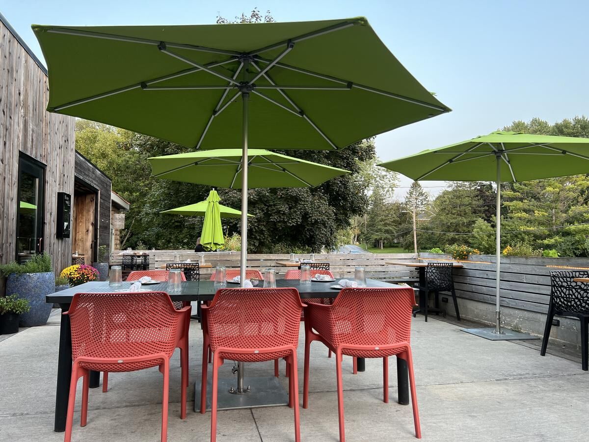 Dog-friendly Prince Edward County: Where to eat, drink and play with ...